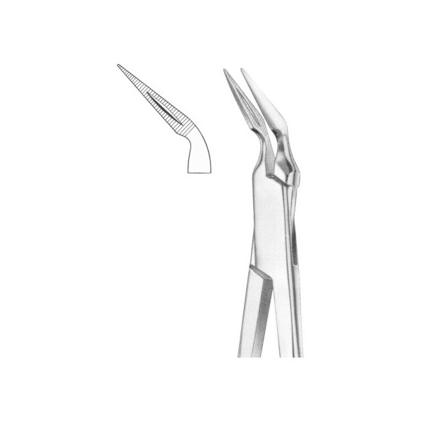Root Splinter Forceps