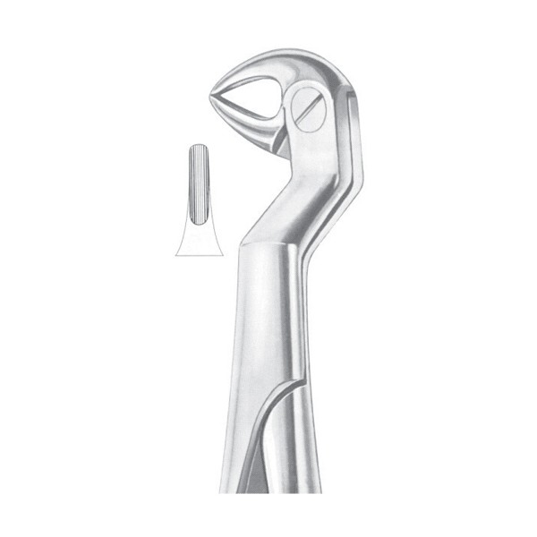 Wisdom Extracting Forceps
