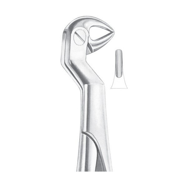 Wisdom Extracting Forceps