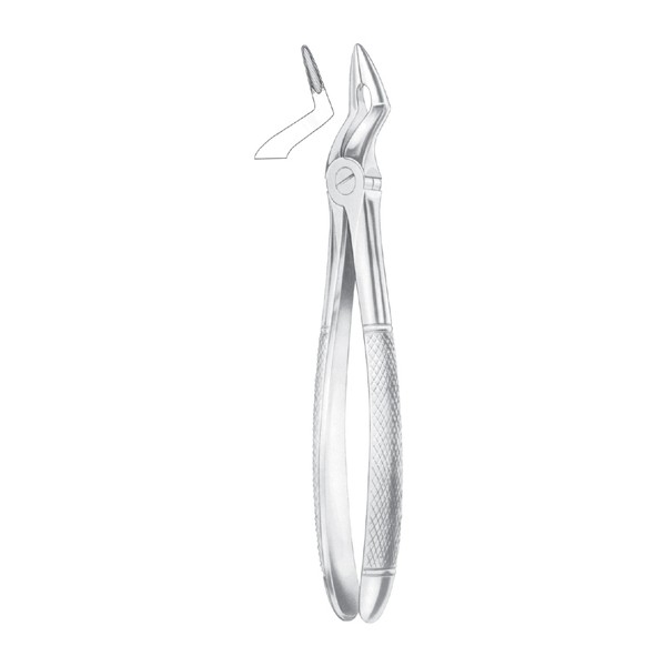 Wisdom Extracting Forceps