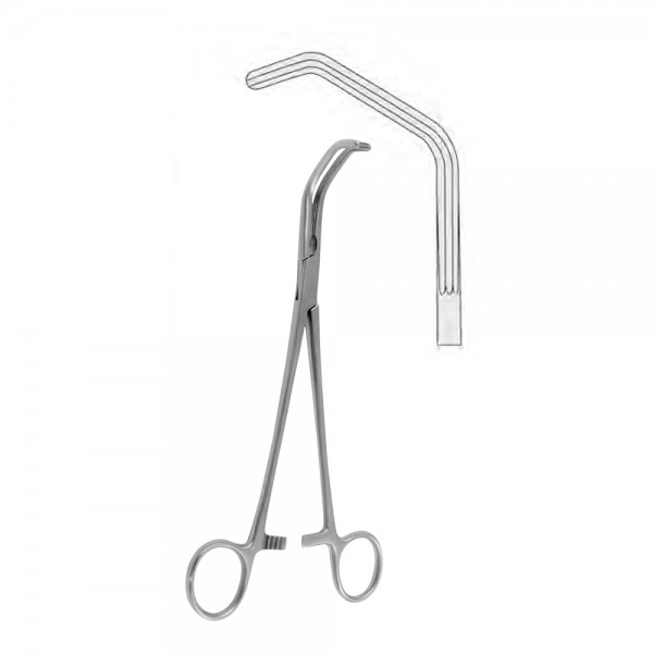 Kidney Pedicle Clamps