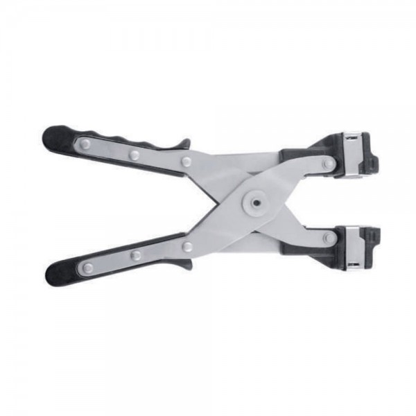 Ear Marking & Taging